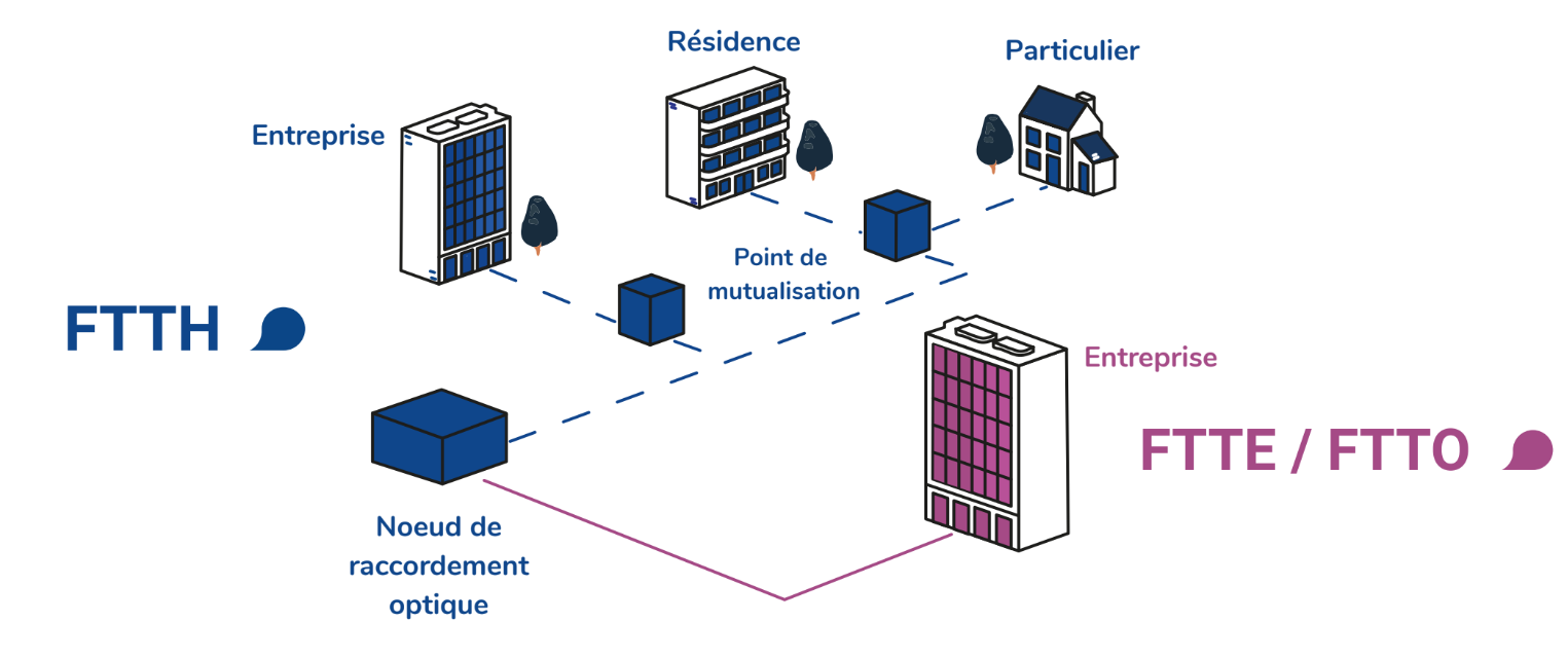 Les différentes fibres pour vos connexions - Zentelecom